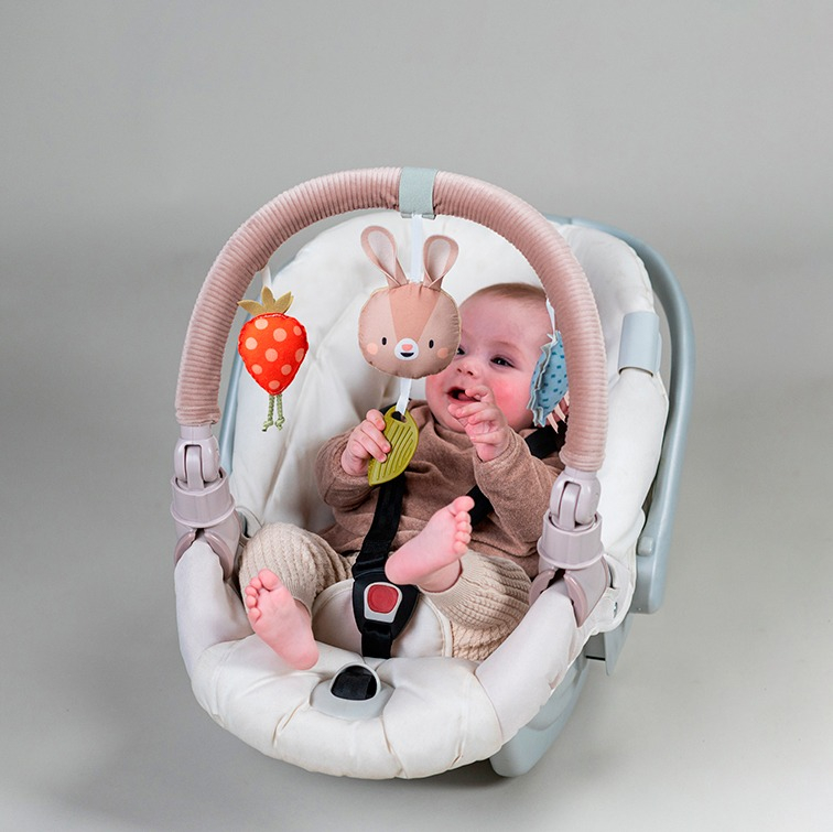 Barra Entrenadora Actividades Bebé Musica Didactico Taf Toys – Mundo ...